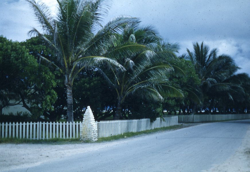 Around the Base - Kwajalein 1950-1952